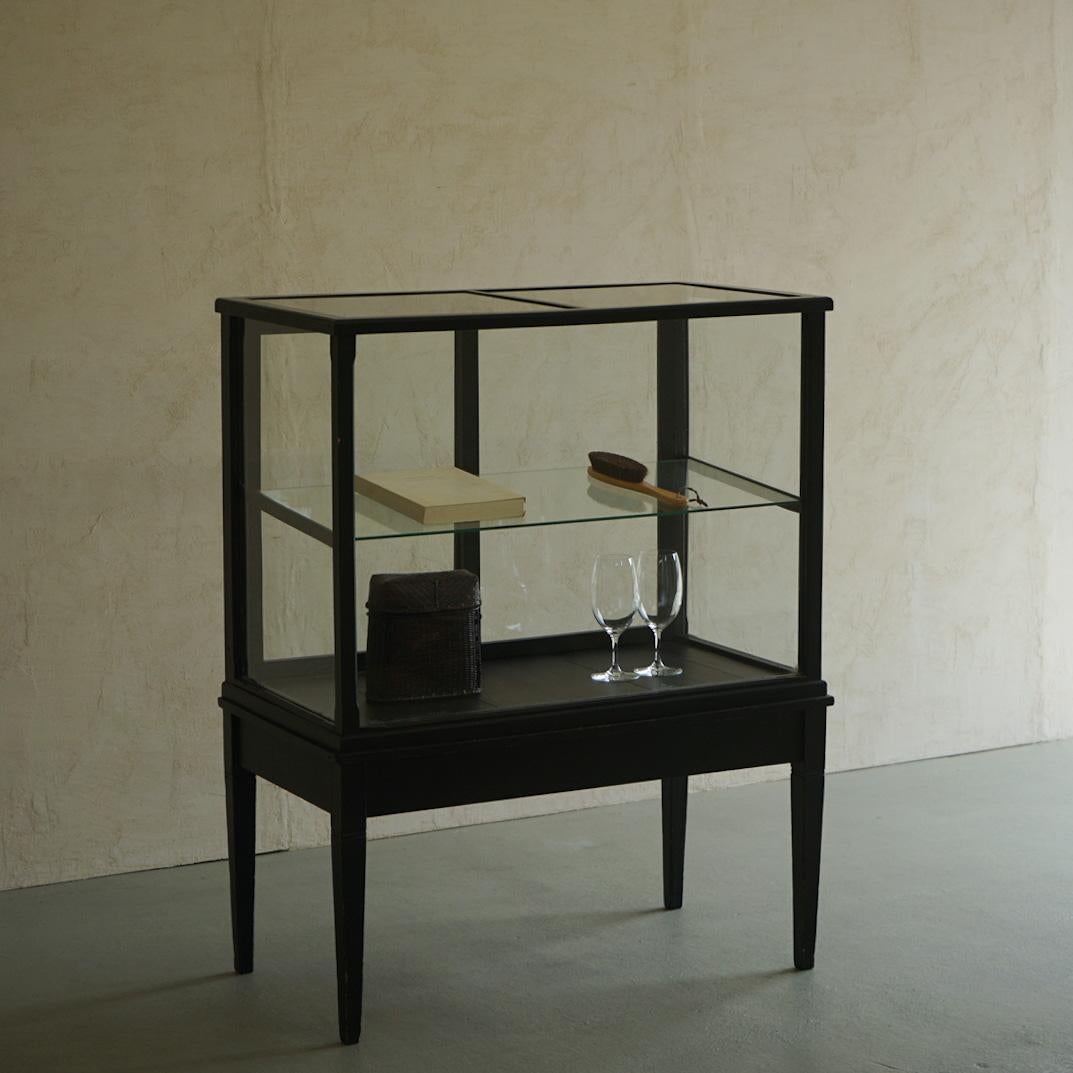Japanese Antique Glass Display Case For Sale at 1stDibs