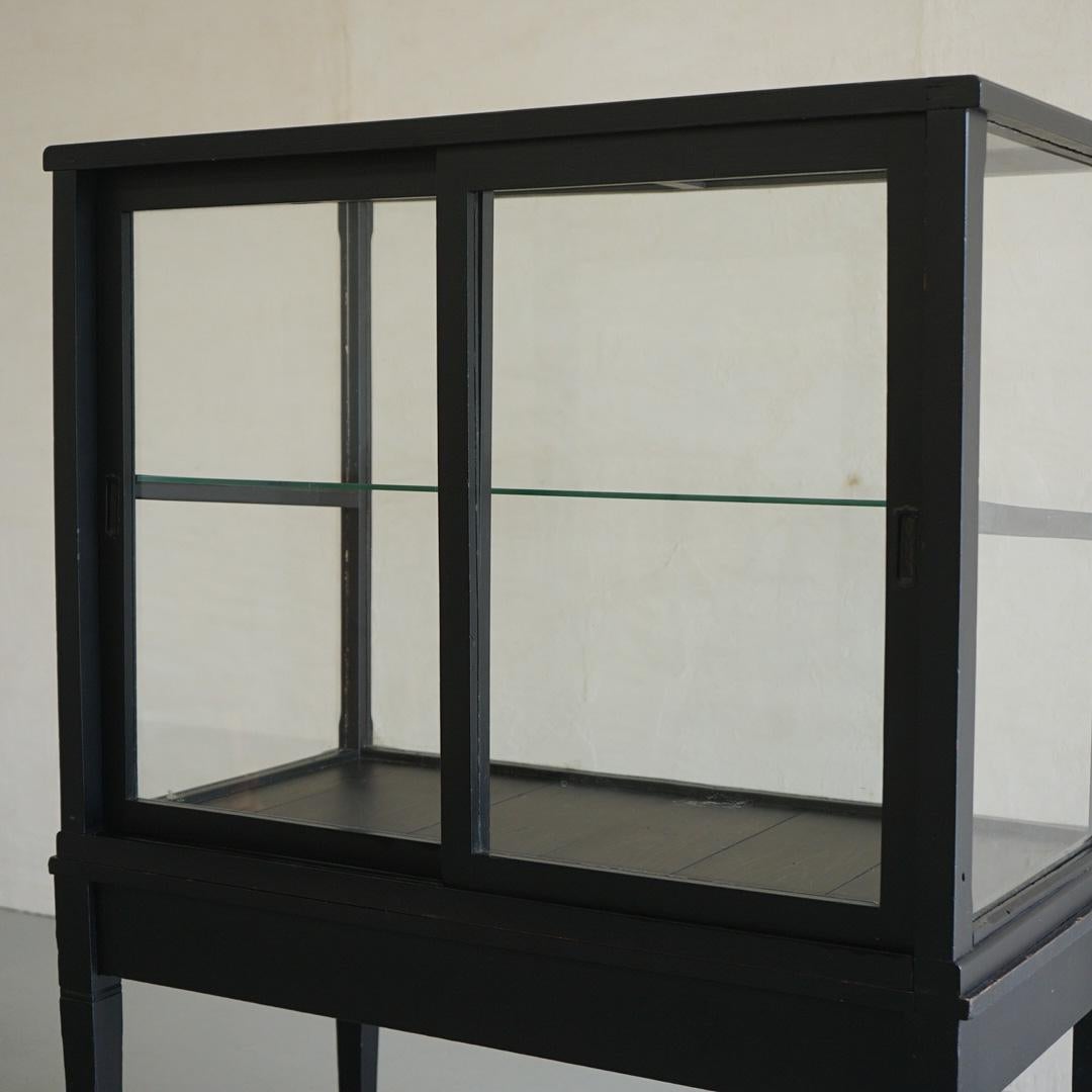 Japanese Antique Glass Display Case For Sale at 1stDibs