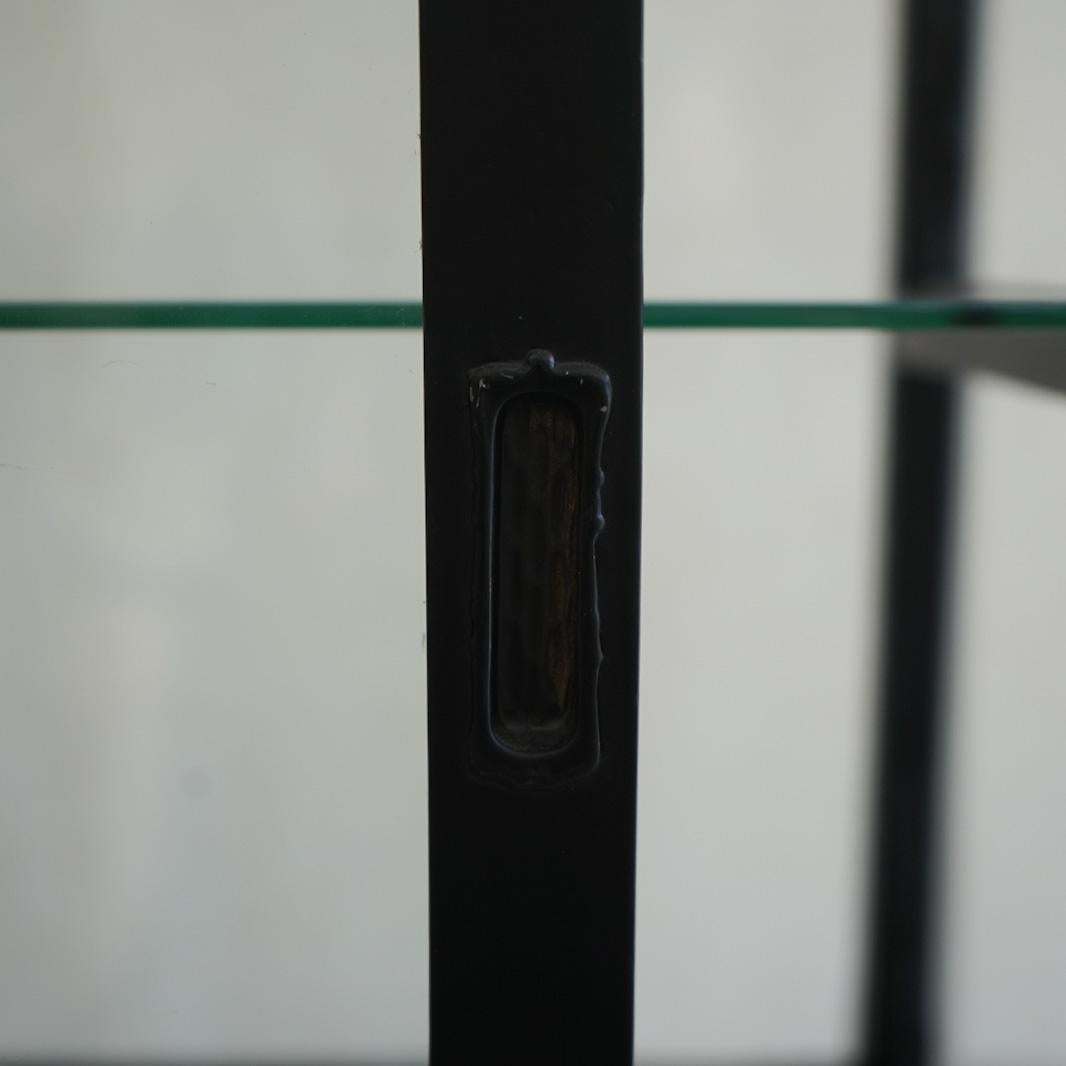 Japanese Antique Glass Display Case For Sale at 1stDibs