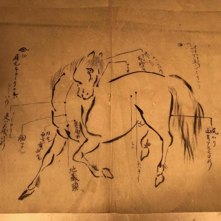 Japanese Antique Set Hand Color Paintings Horses, Horses, Manuscript ...