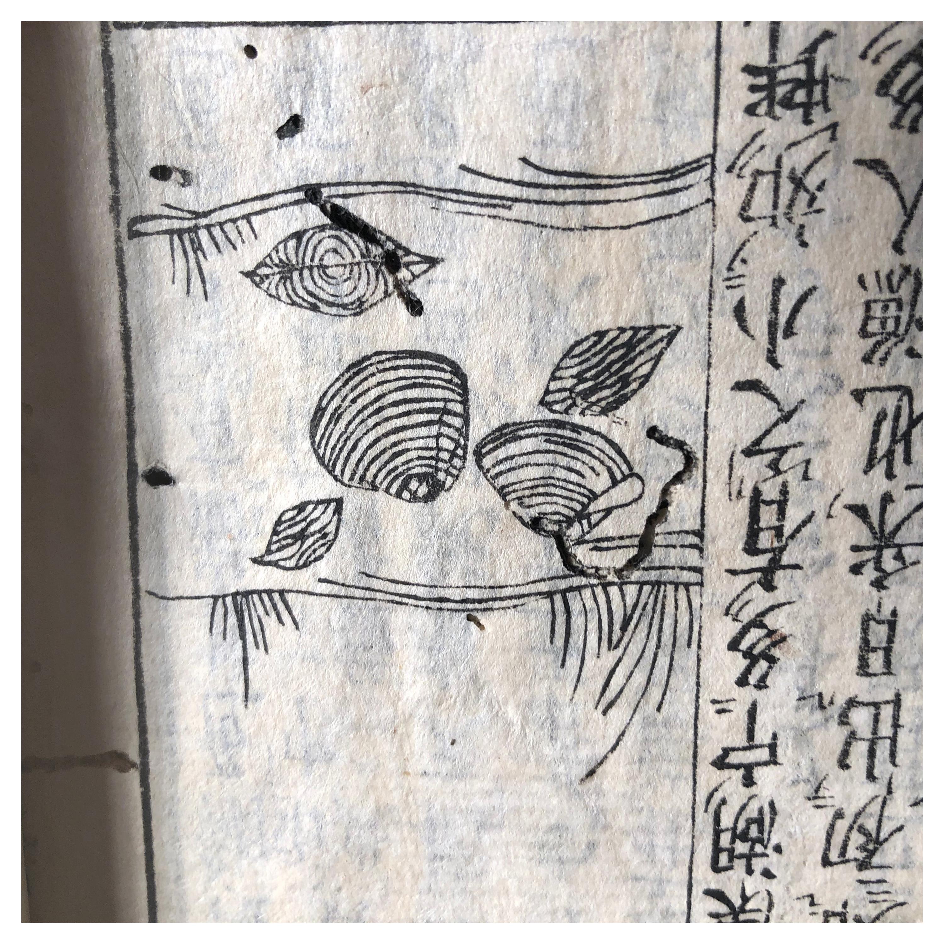 Japanese Woodblock Shell - For Sale on 1stDibs