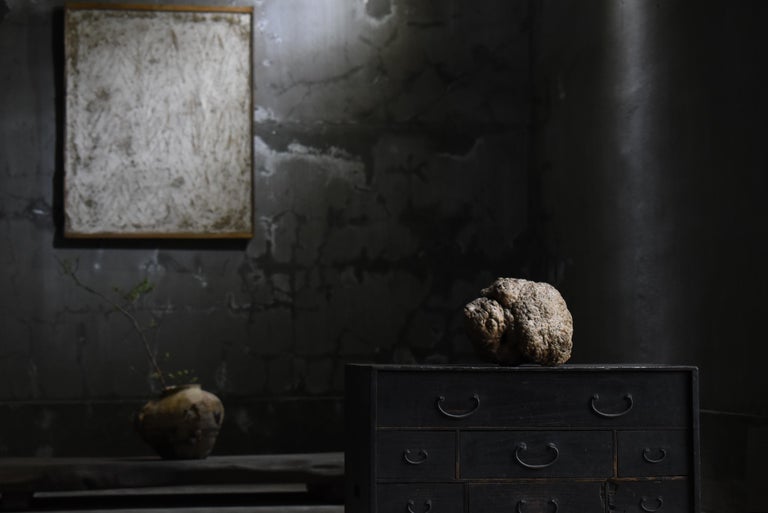 Japanese Antique Tree Bump 1860s-1900s / Mingei Figurine Object ...