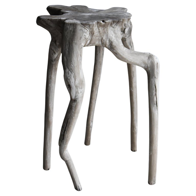 Japanese Antique Tree Root Stand 1860s-1900s / Flower Stand Side Table ...