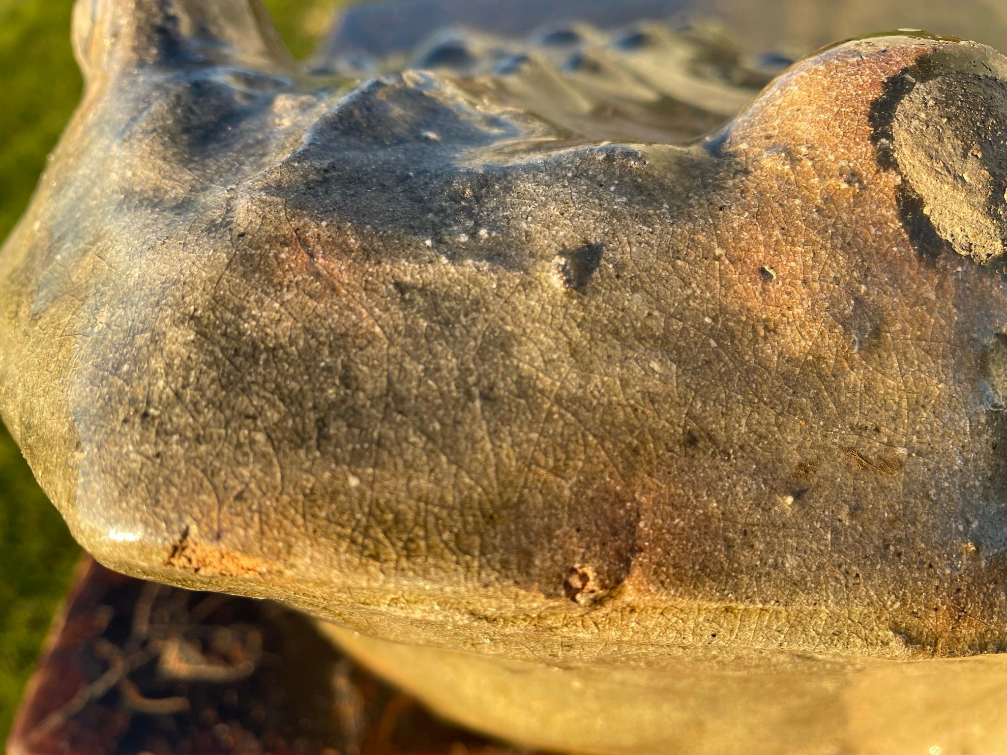 Japanese Big Old Garden Bull Frog Toad at 1stDibs | big old bullfrog ...