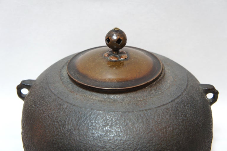 Japanese Cast Iron Tea Kettle for Tea Ceremony, Chagama, 1950s For Sale ...