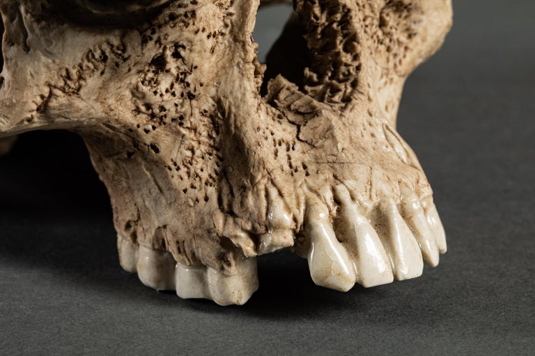 Japanese Ceramic Form of a Human Skull with a Snake For Sale at 1stDibs ...