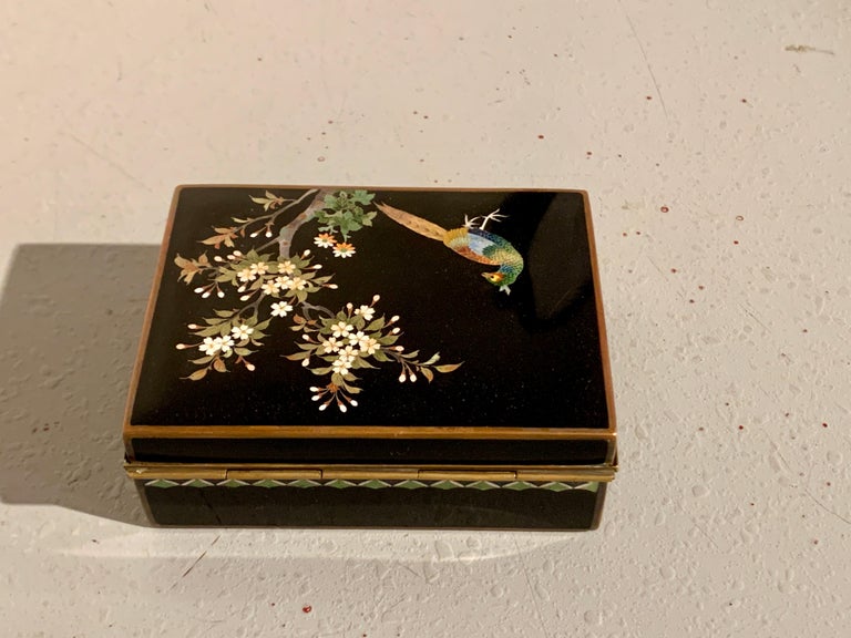 Japanese Cloisonne Box by Inaba, Meiji Period, circa 1900, Japan For ...