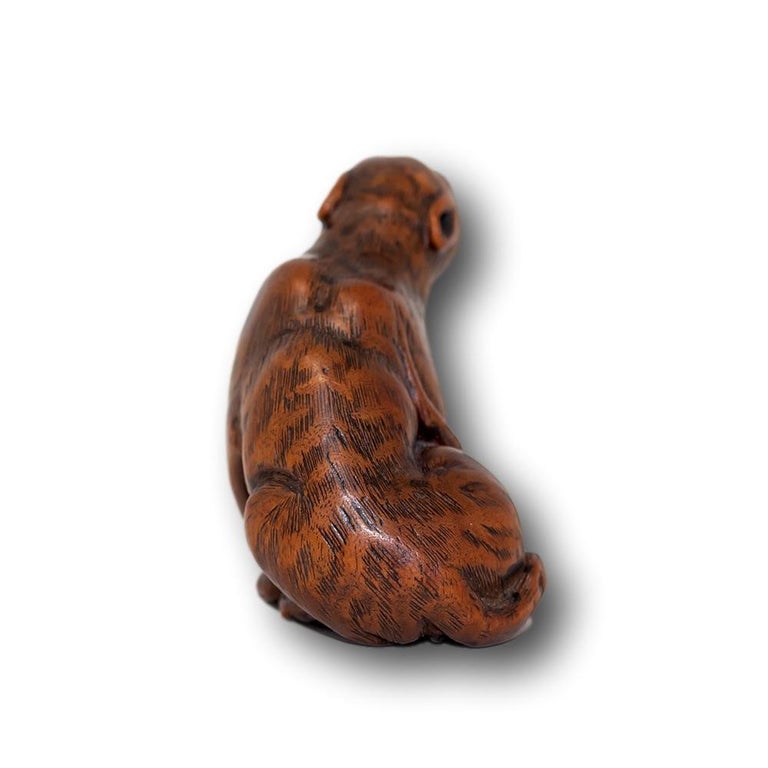 Japanese Edo Period Tiger and Cub Boxwood Netsuke Singed Masayoshi For ...