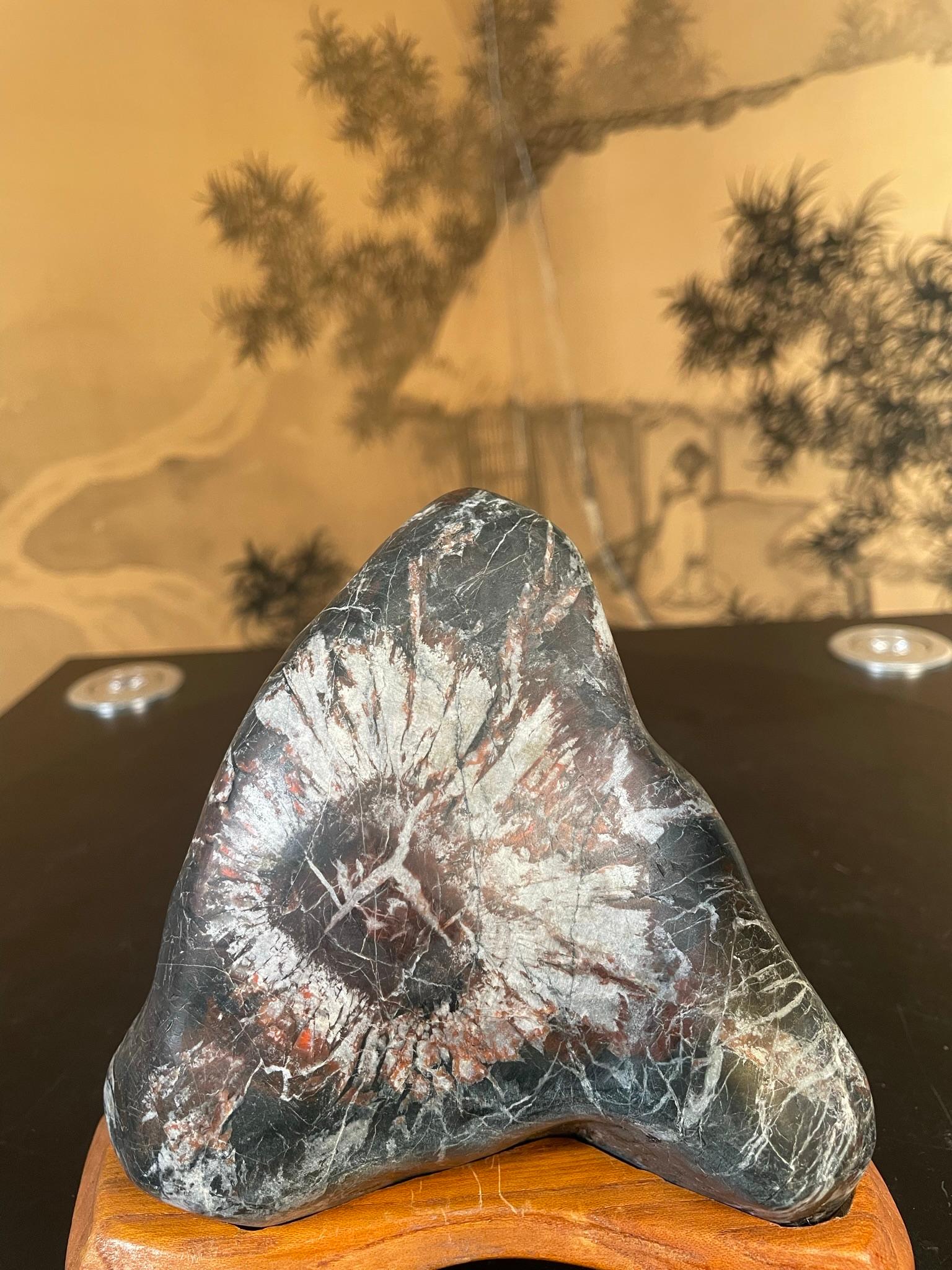 Japanese Fine Chrysanthemum Flower Viewing Stone Scholar Rock For Sale ...