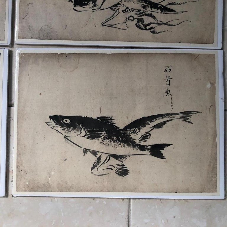 Japanese Four Antique "Fish" Hand Painted Sumi Ink Original Drawings ...