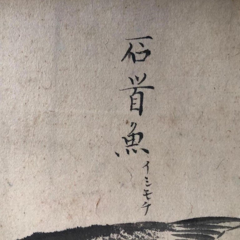 Japanese Four Antique "Fish" Hand Painted Sumi Ink Original Drawings ...