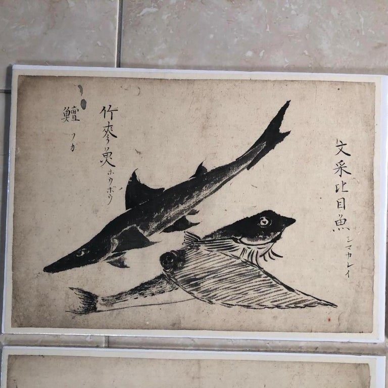 Japanese Four Antique "Fish" Hand Painted Sumi Ink Original Drawings ...