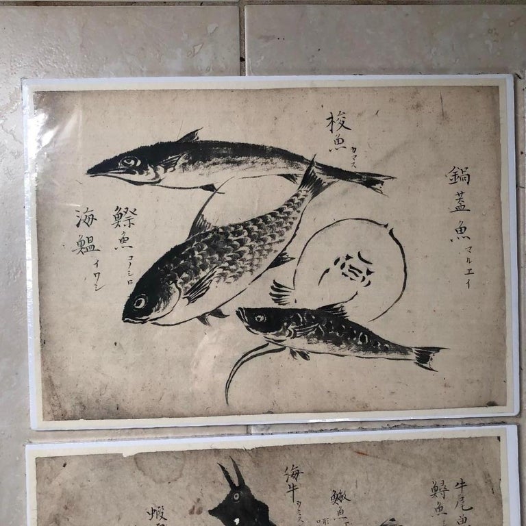Japanese Four Antique "Fish" Hand Painted Sumi Ink Original Drawings ...