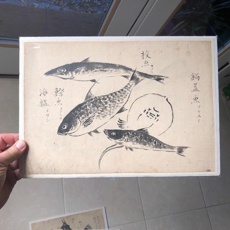 Japanese Four Antique "Fish" Hand Painted Sumi Ink Original Drawings ...