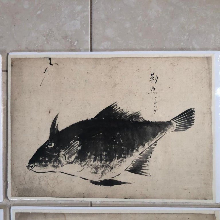 Japanese Four Antique "Fish" Hand Painted Sumi Ink Original Drawings ...