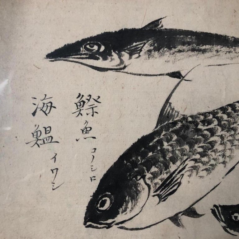 Japanese Four Antique "Fish" Hand Painted Sumi Ink Original Drawings ...
