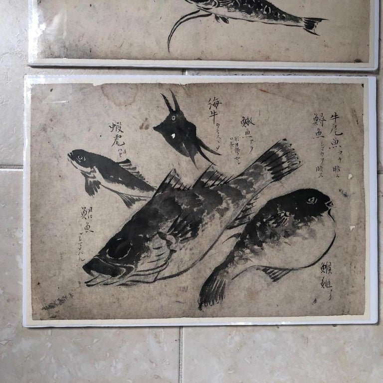 Japanese Four Antique "Fish" Hand Painted Sumi Ink Original Drawings ...