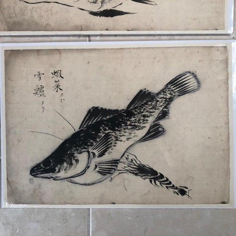 Japanese Four Antique "Fish" Hand Painted Sumi Ink Original Drawings ...