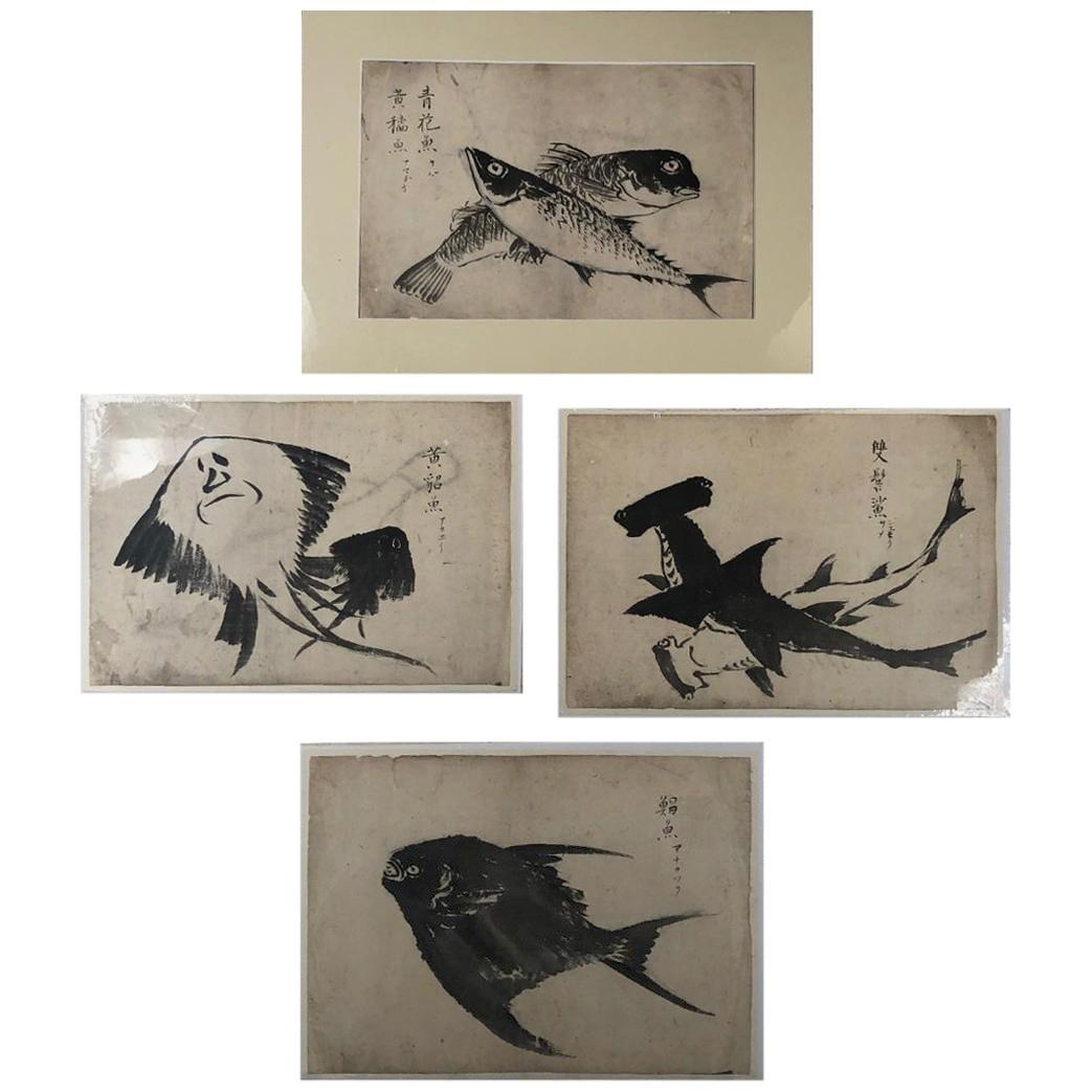 Japanese Four Antique "Fish" Hand Painted Sumi Ink Original Drawings ...