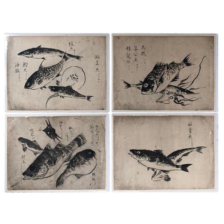 Japanese Four Antique "Fish" Hand Painted Sumi Ink Original Drawings ...