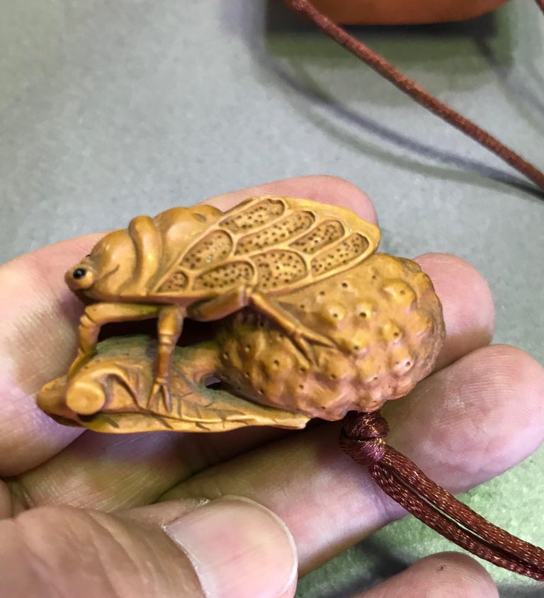 Japanese Inro Three-Part Box with Insect and Lychee Design with Netsuke ...