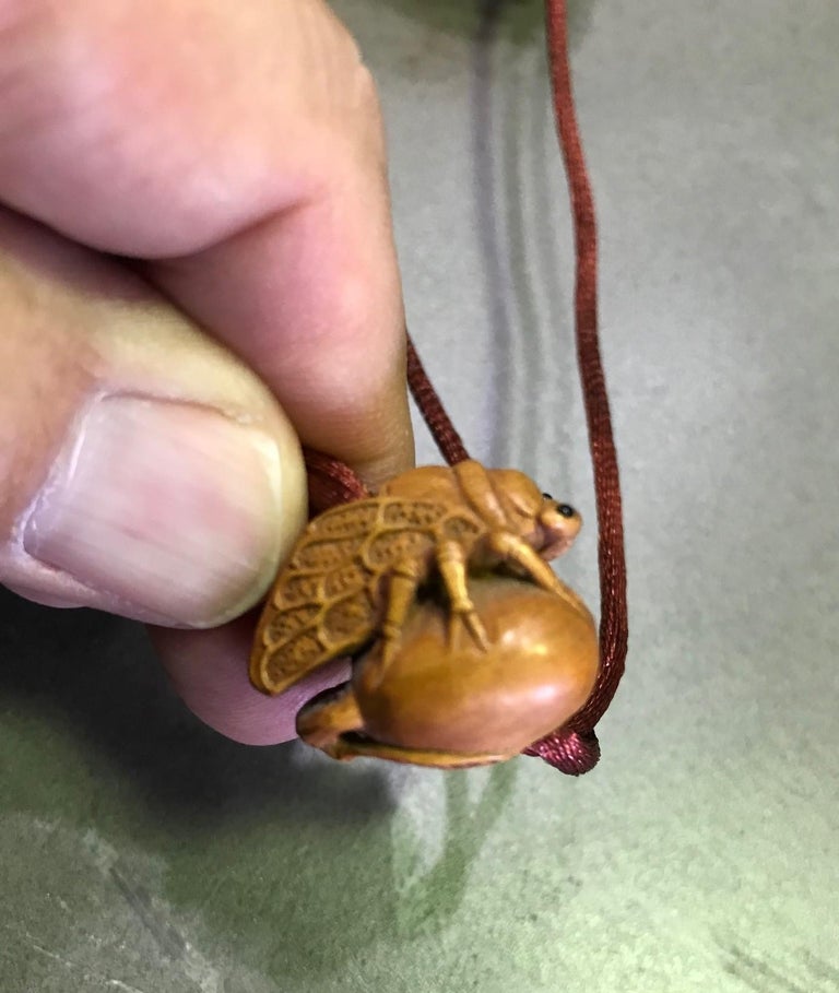 Japanese Inro Three-Part Box with Insect and Lychee Design with Netsuke ...