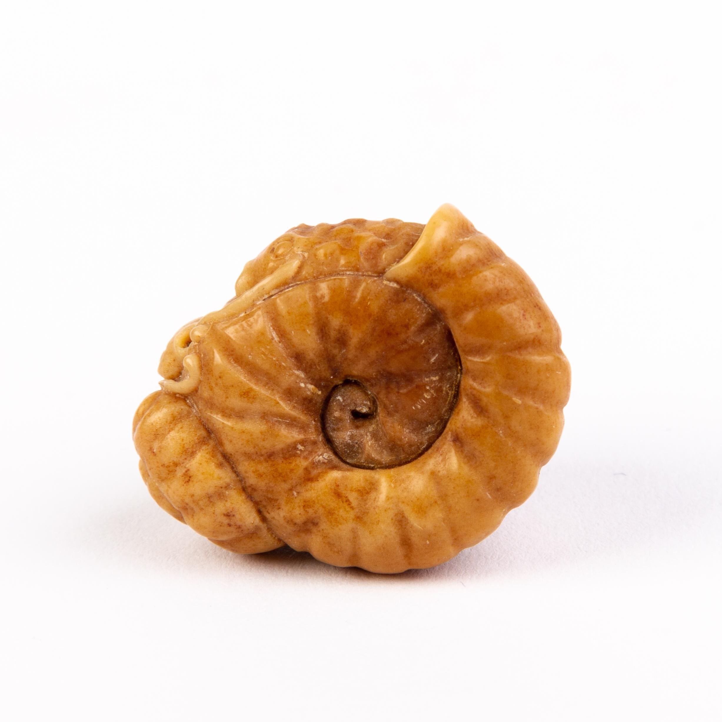 Japanese Meiji Tagua Nut Netsuke Inro For Sale at 1stDibs