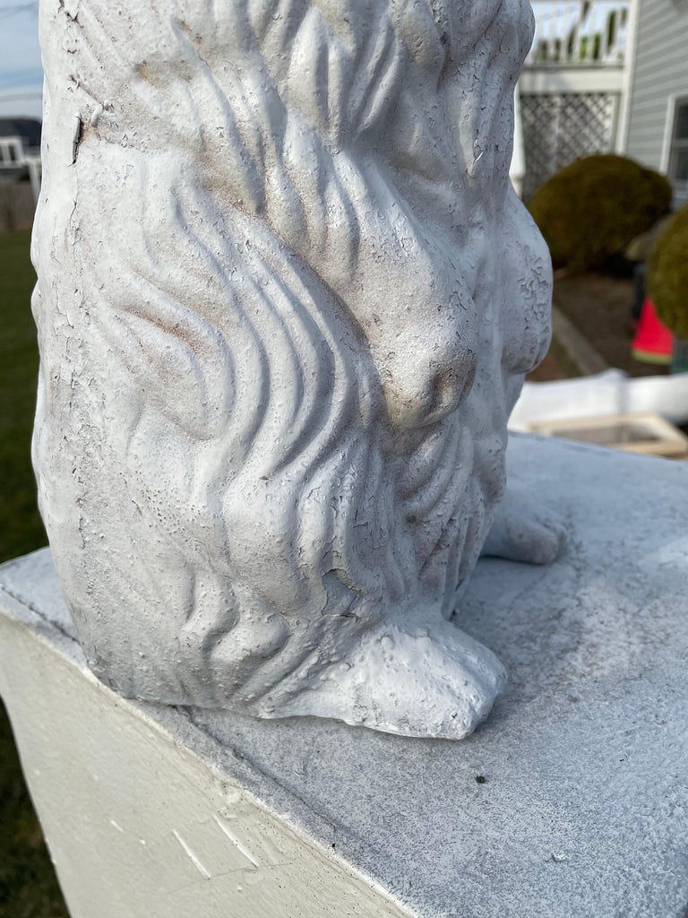 Japanese Massive Old Vintage White Rabbit Extraordinary Details For ...