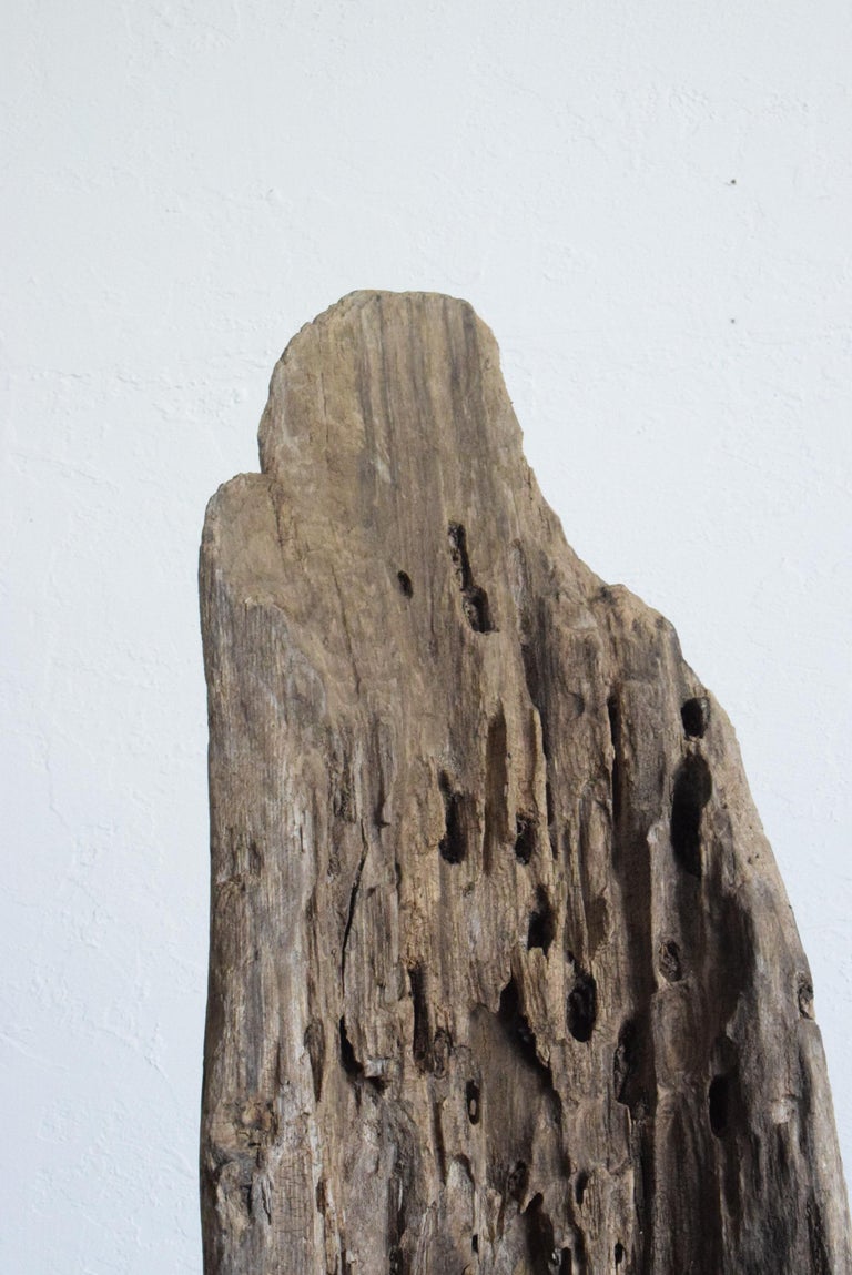 Japanese Tree Root Wabi-Sabi Partition /Screens Primitive/Wabisabi ...