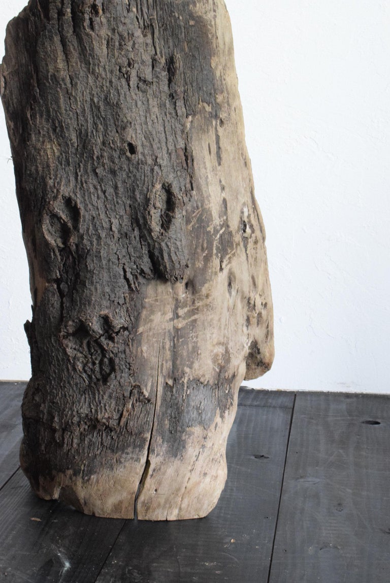 Japanese Tree Root Wabi-Sabi Partition /Screens Primitive/Wabisabi ...