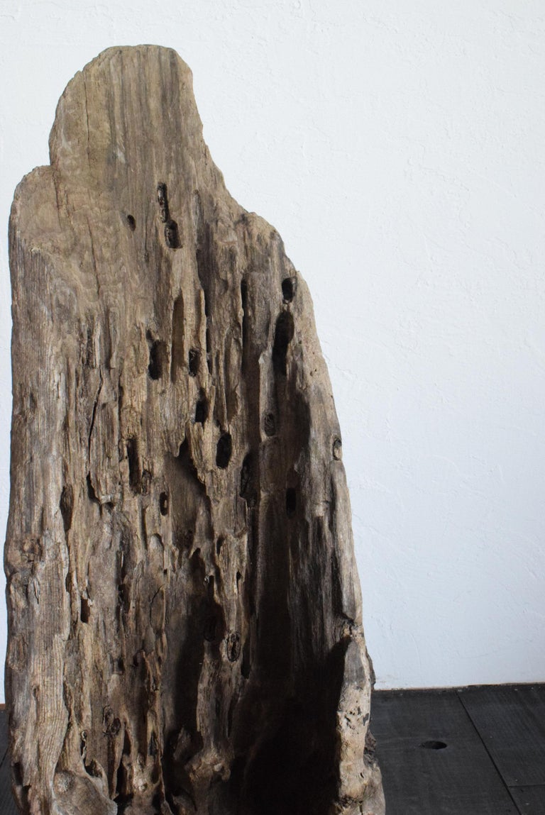 Japanese Tree Root Wabi-Sabi Partition /Screens Primitive/Wabisabi ...