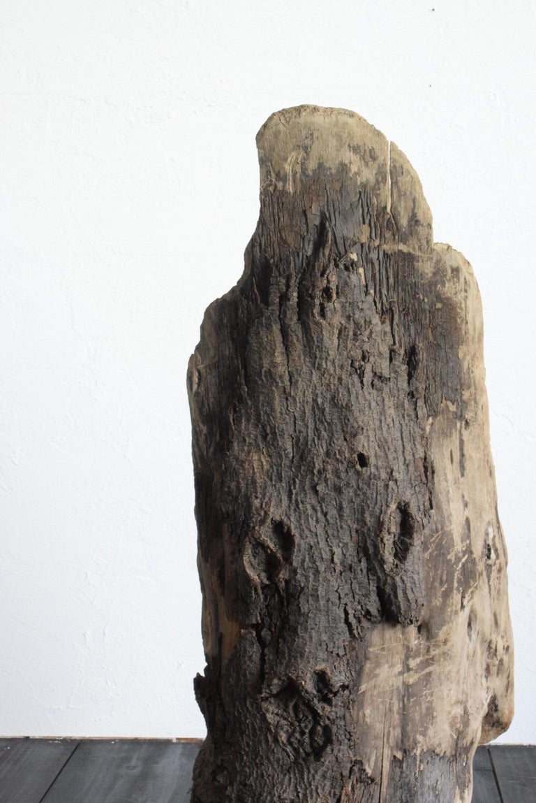 Japanese Tree Root Wabi-Sabi Partition /Screens Primitive/Wabisabi ...