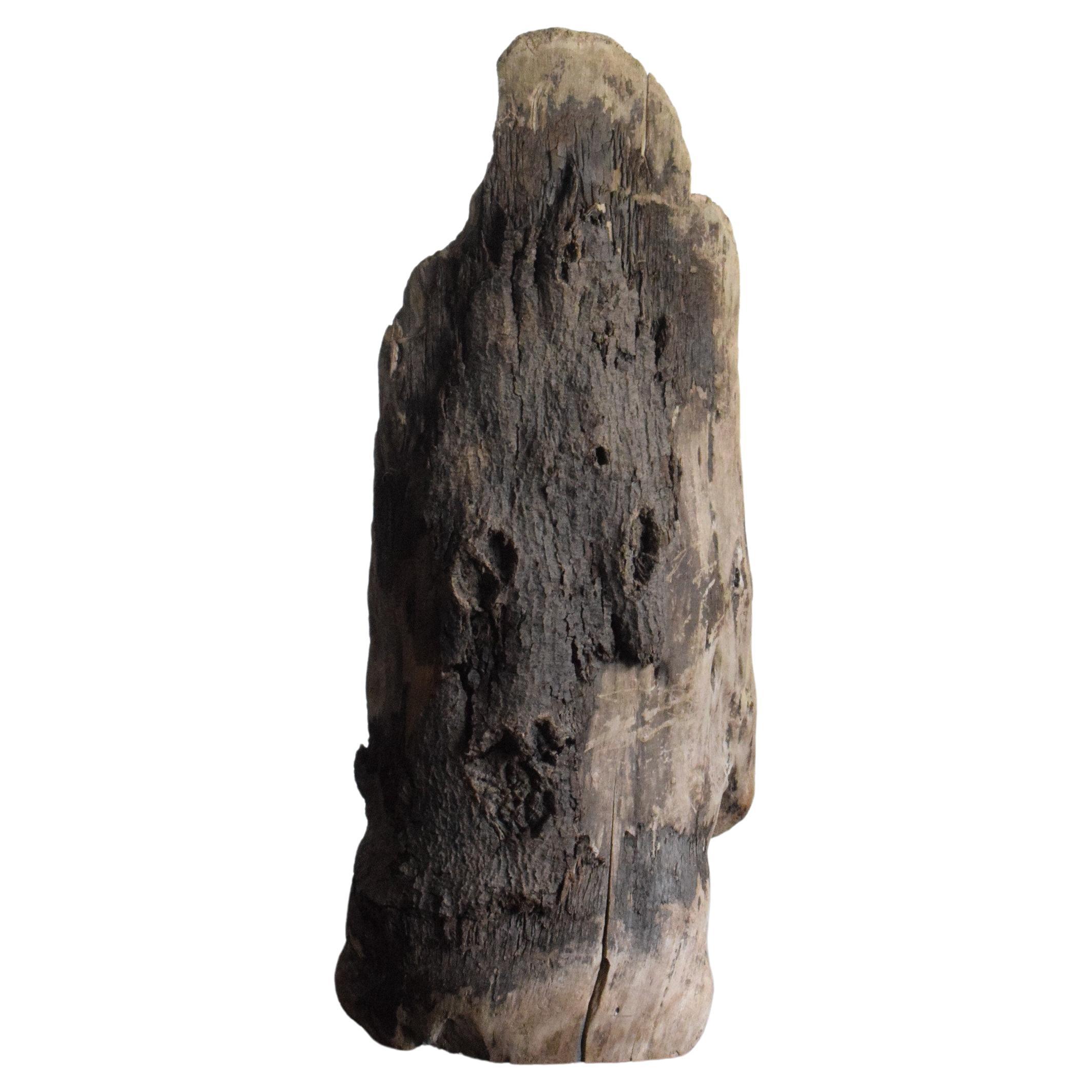 Japanese Tree Root Wabi-Sabi Partition /Screens Primitive/Wabisabi ...