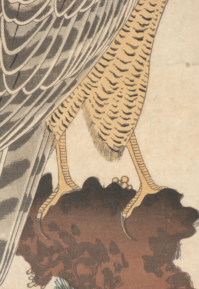 Japanese Woodblock Print of a Falcon by Utagawa Toyoshige 歌川豊重 ...