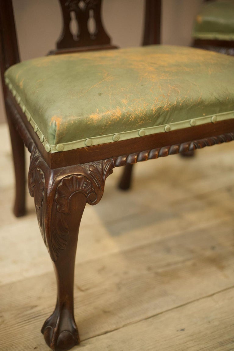 Jas Shoolbred Dining chairs in mint green leather For Sale at 1stDibs