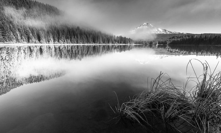 Jason Haygood - Snowy Majesty For Sale at 1stDibs