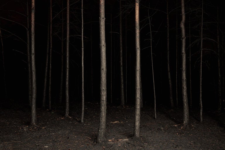 Jasper Goodall - Burnt Place #3 For Sale at 1stDibs