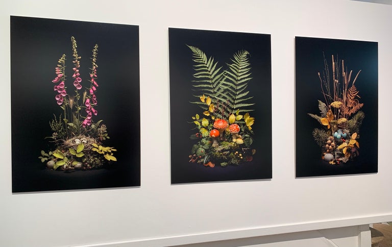 Jasper Goodall - Dar Flora #5, May Foxgloves, A floral arrangement of ...