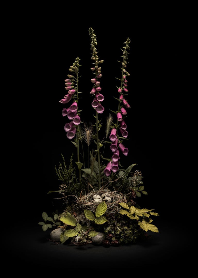 Jasper Goodall - Dar Flora #5, May Foxgloves, A floral arrangement of ...