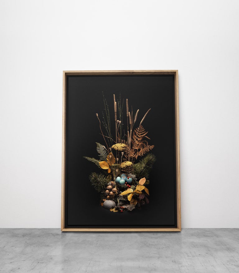 Jasper Goodall - Dark Flora, #4 Autumn Weald - Floral arrangement of ...