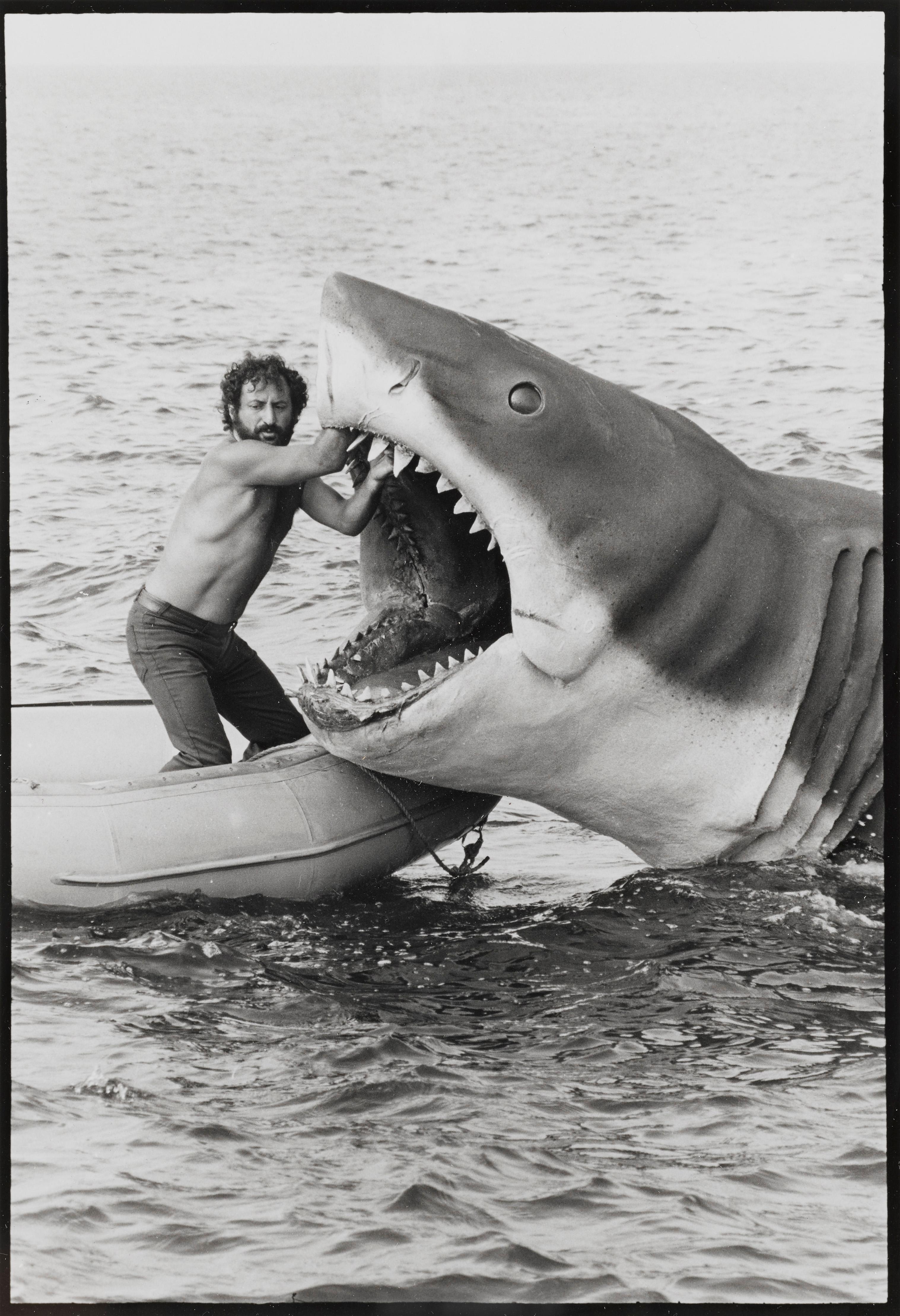 Jaws For Sale at 1stDibs | diesel jaw jeans