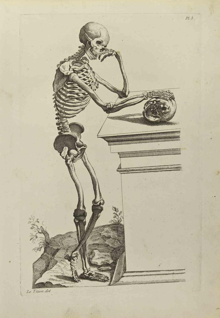 Jean François Poletnich - Skeleton after Titian - Etching by Jean ...