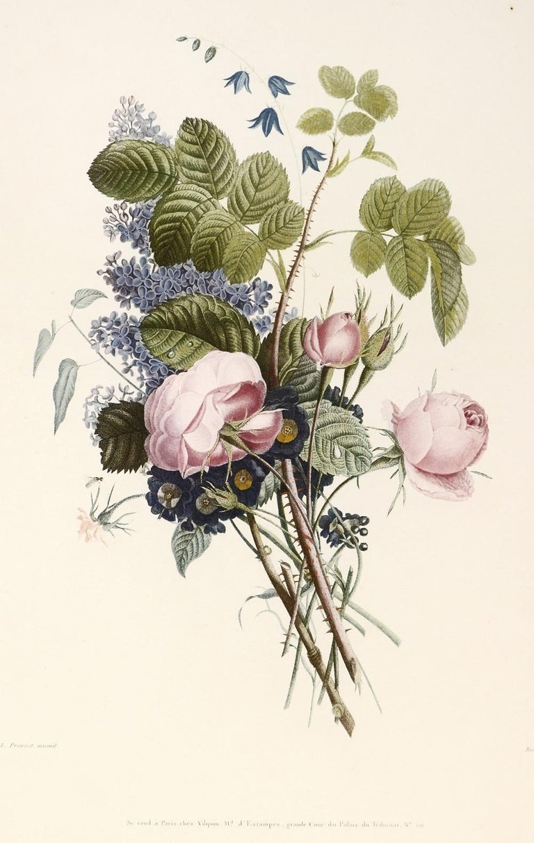 Jean Louis Prévost - PRÉVOST. Print from Collection des Fleurs et des ...