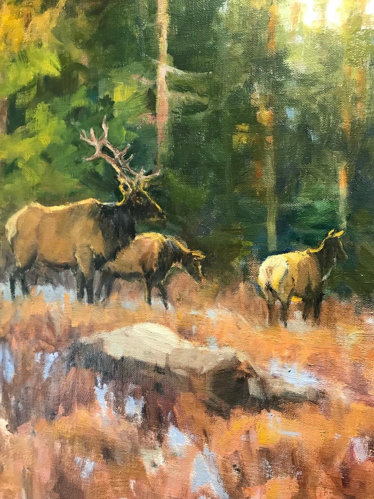 Jean Perry - Colorado Wild For Sale at 1stDibs