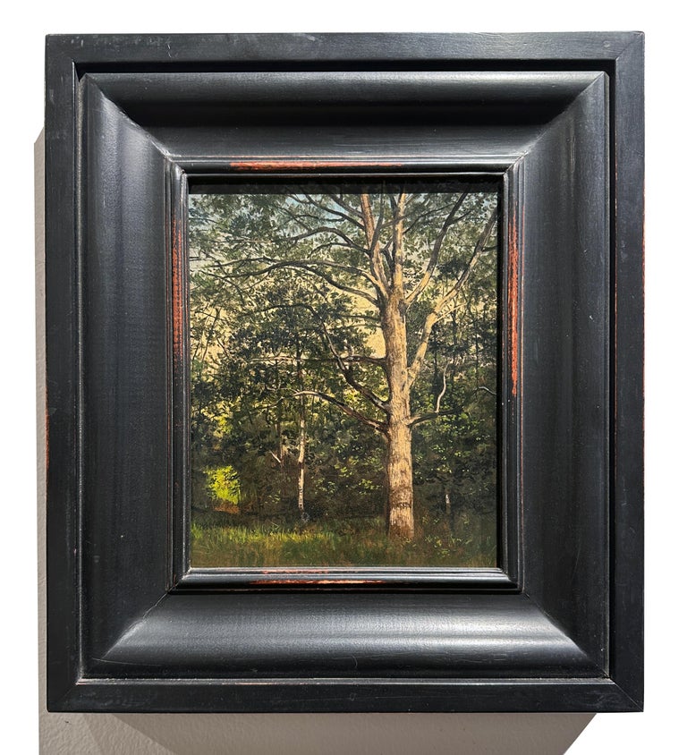 Jeff Aeling - Trees - Mature Trees with Dappled, Filtered Sunlight, Oil ...