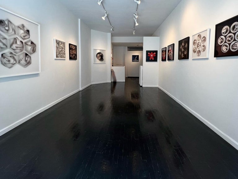 Jeff Robb - "UC 16" - 3-D motion lenticular framed For Sale at 1stDibs