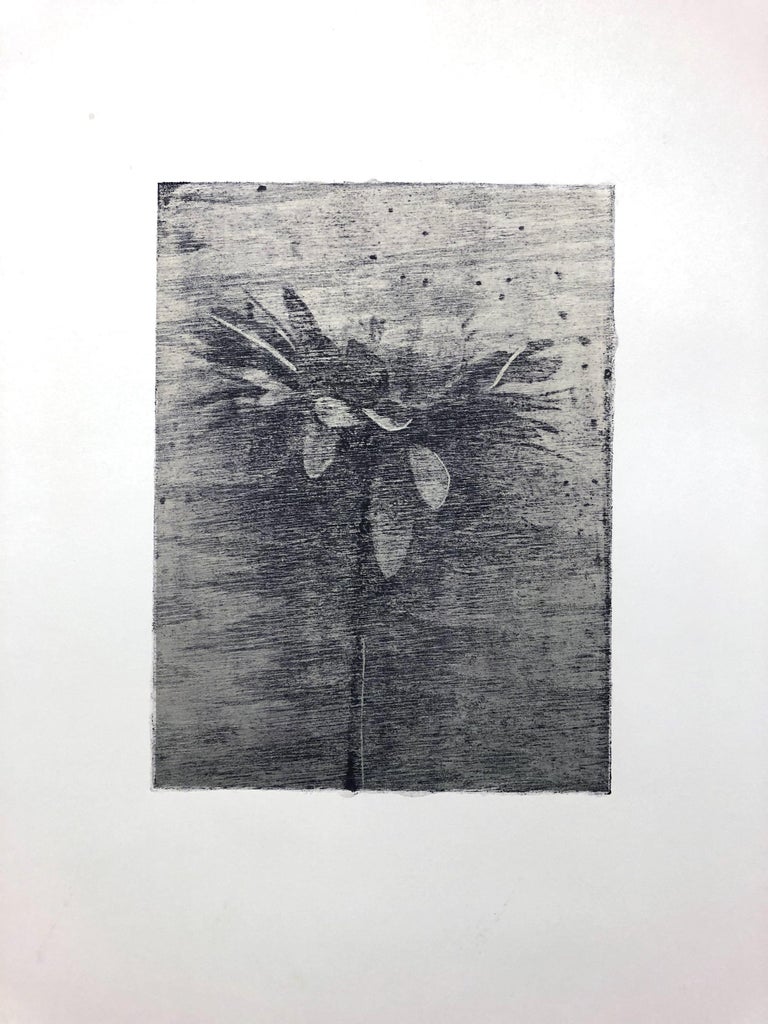 Jeff Sippel - Ewa 2, Hand Printed Work, Metalcut For Sale at 1stDibs