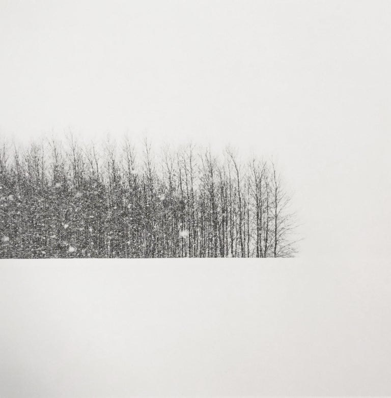 Jeffrey Conley - Trees in Winter Field, Oregon , 2014, printed 2023 For ...