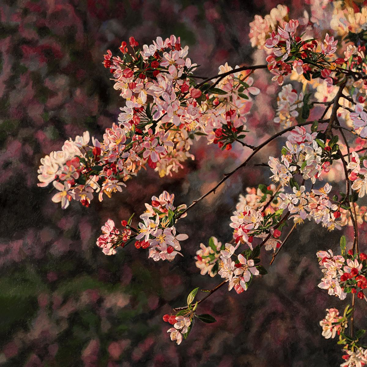 Johnny Robertson - PCH For Sale at 1stDibs