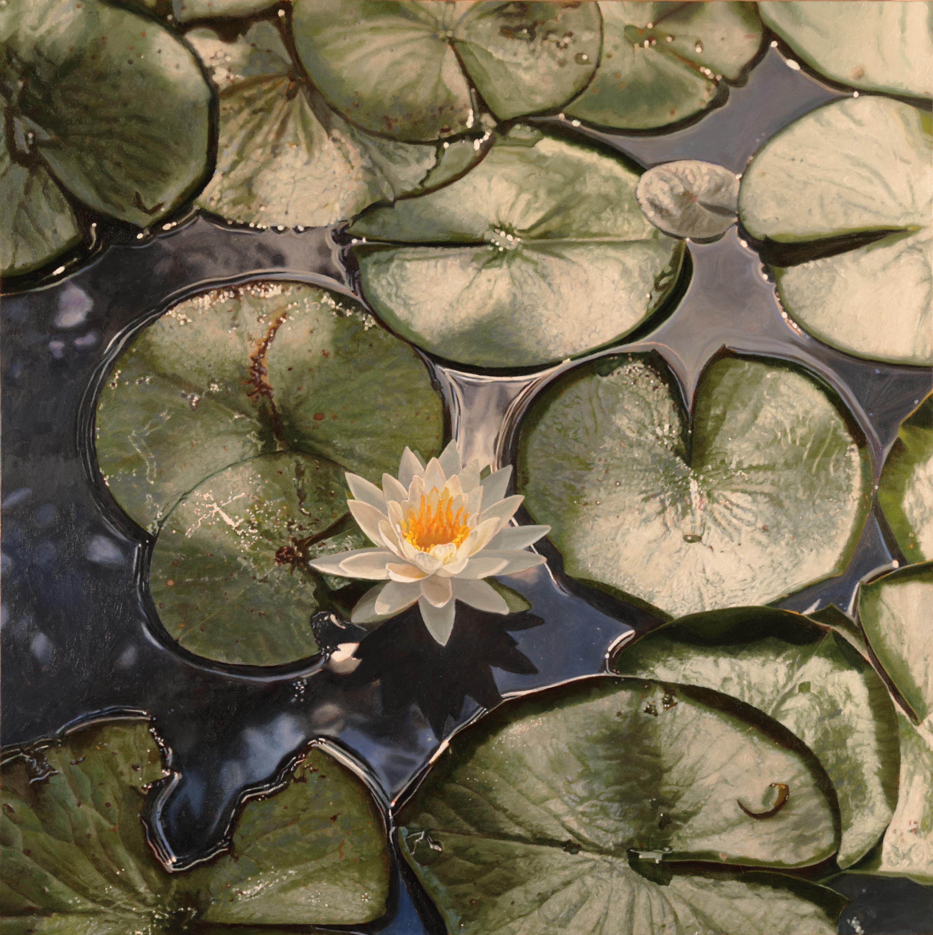 Johnny Robertson - Coastline Dr. For Sale at 1stDibs